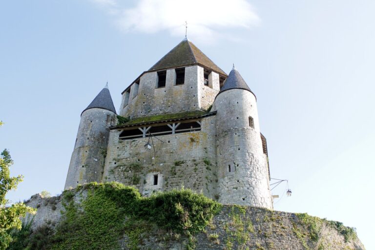 Visita Guiada Provins (2h) - Guias Francia